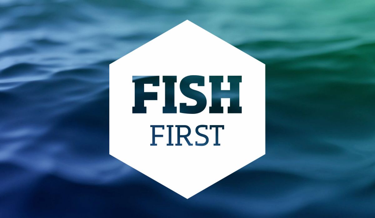 Focus on fish welfare with Fish First - EWOS