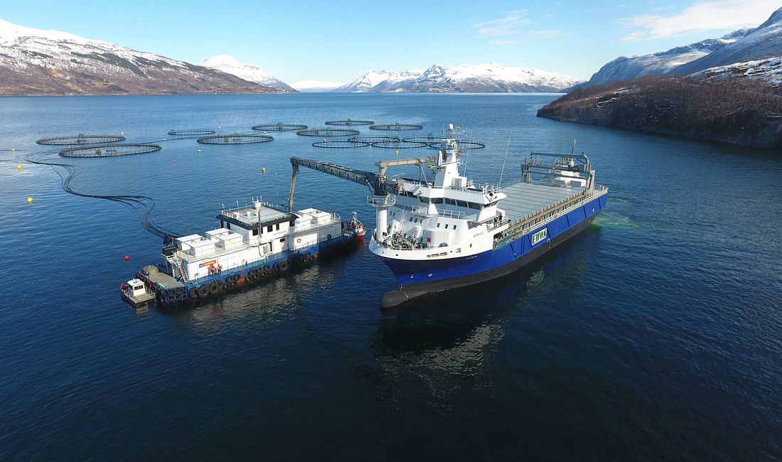 Om oss - Ledende produsent av fiskefôr | EWOS